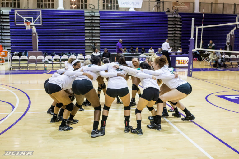 Volleyball - Jackson Reed Tiger Athletics