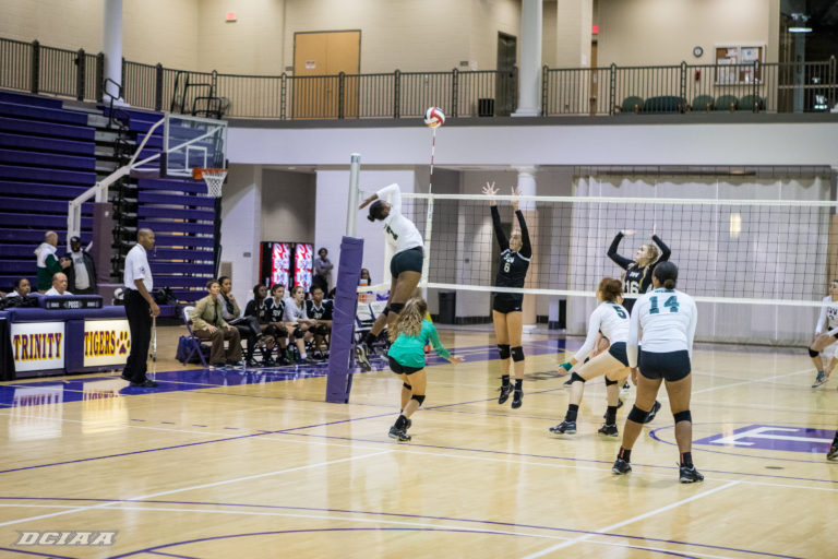 Volleyball - Jackson Reed Tiger Athletics